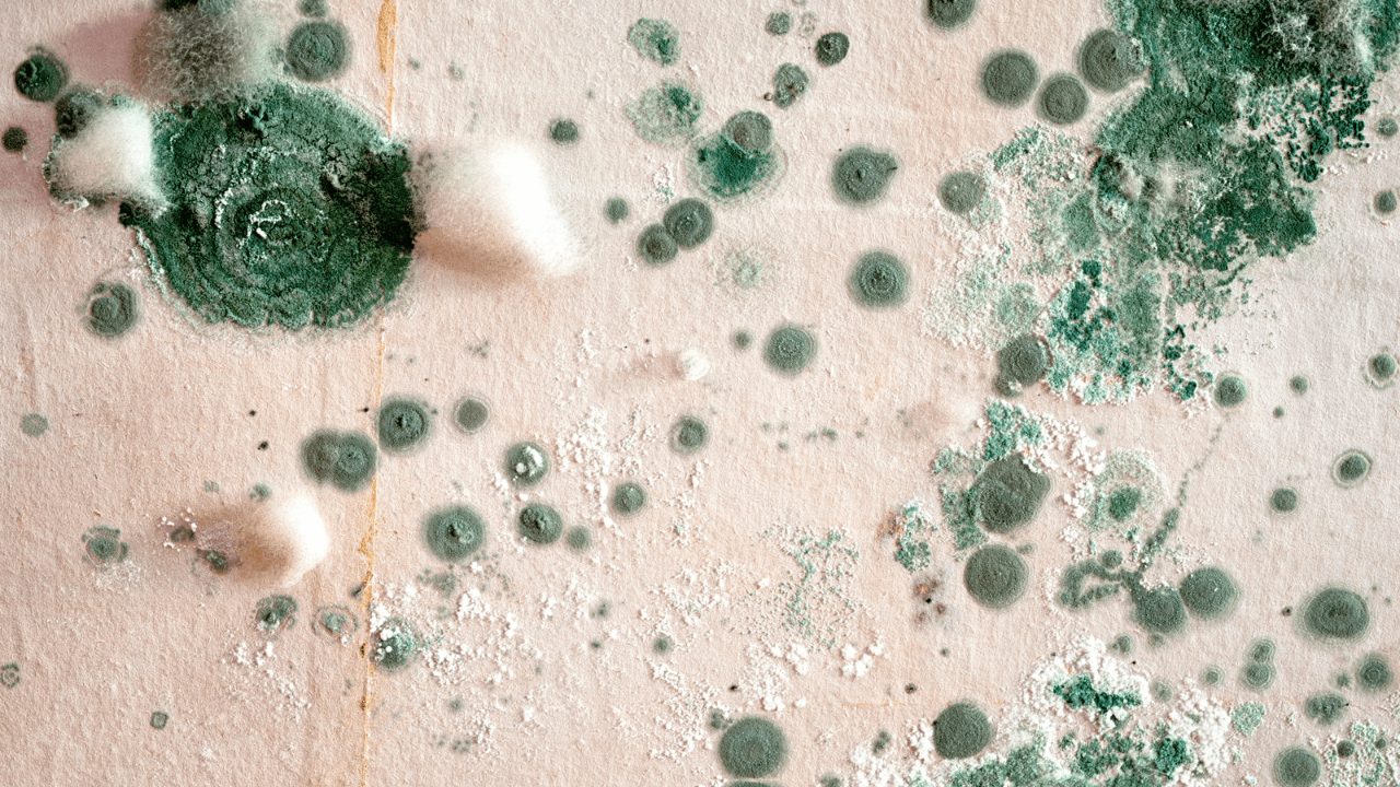 Is Social Conditioning Undermining Your Confidence? | Shore Coaching ...